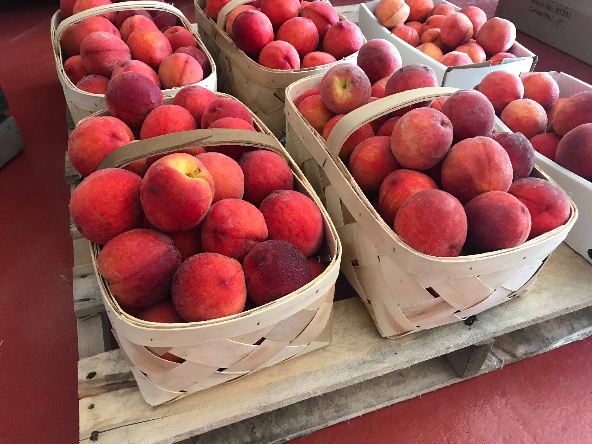 Stuckey Farm Orchard and Cider Mill